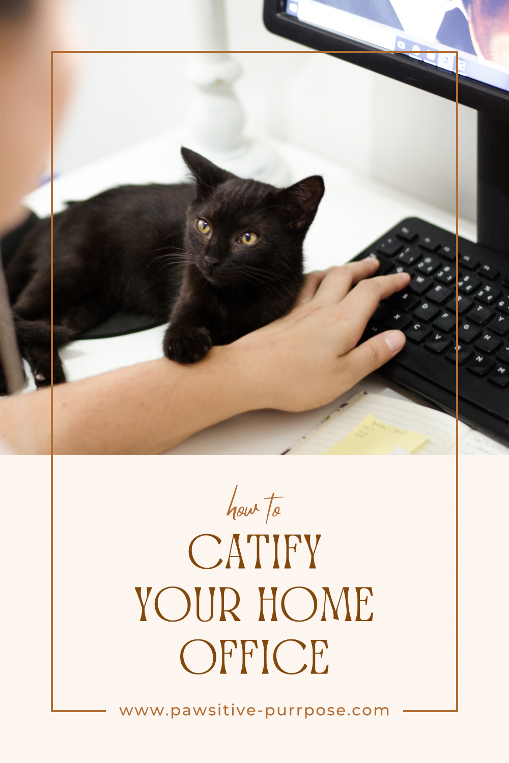 How to Catify Your Home Office – Pawsitive Purrpose
