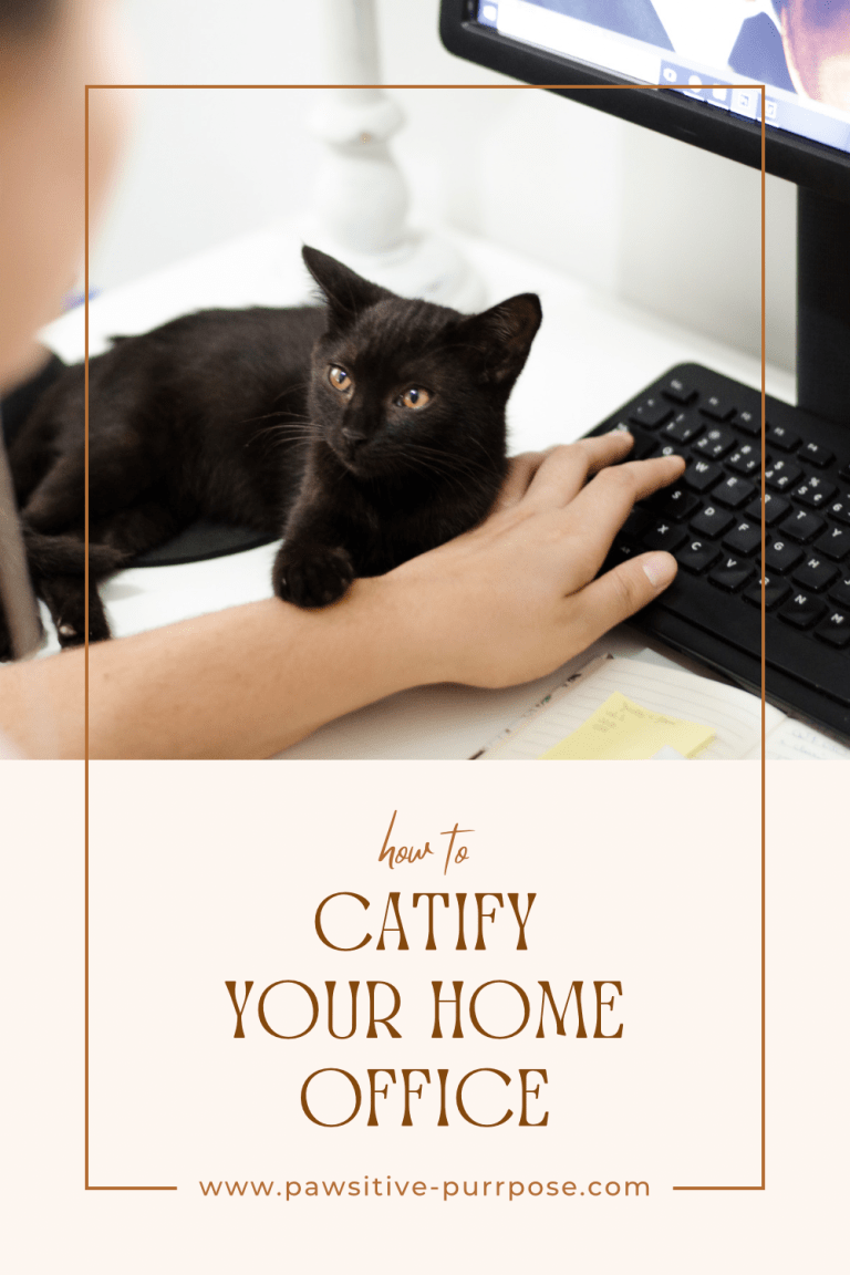 How to Catify Your Home Office – Pawsitive Purrpose